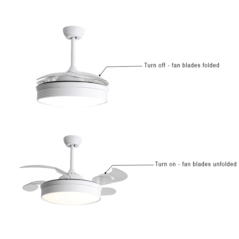 Eli Ceiling Fan + Retractable Blades