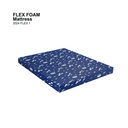 Flex Foam Mattress