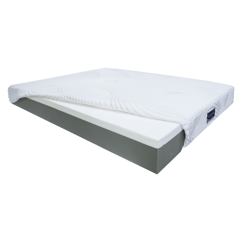 Flex Form Mattress